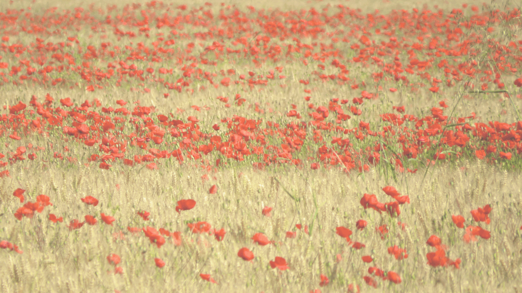 Healing Your Inner Child: A Support Group for Trauma Recovery - Yellow ...